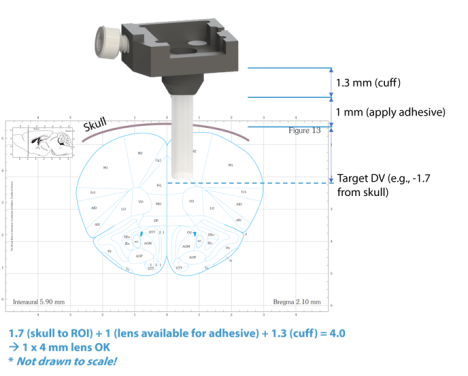 如何挑选合适的自聚焦透镜（Grin Lens）?